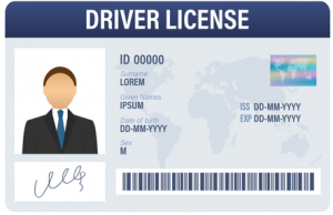 Verification – Arms License Website – License Verification. Enter ...